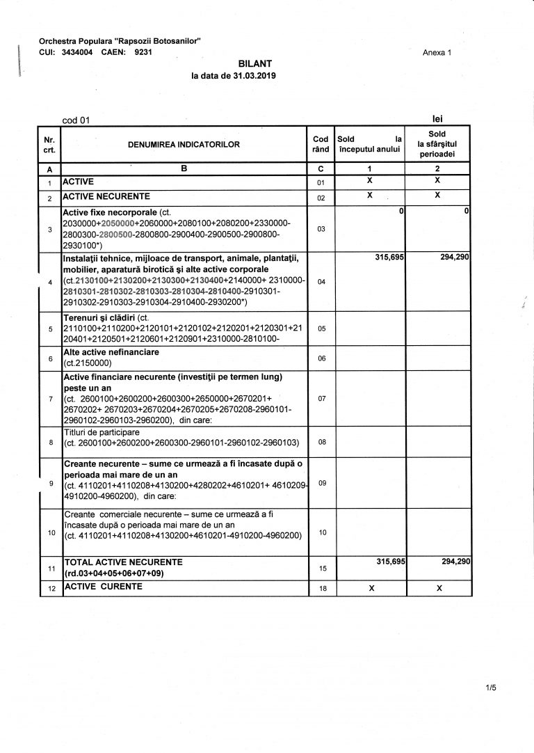 Bilant contabil la 31 martie 2019 | Orchestra Populara Rapsozii Botosanilor